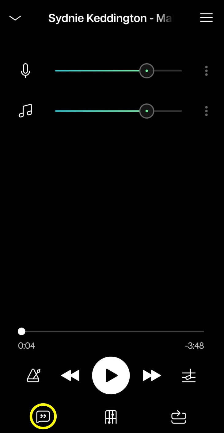 How do I use the transcription and edit the lyrics? – moises.ai